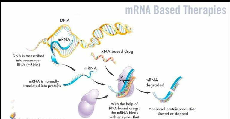 Dorry Segev COVID-19'un Geleceğine Nasıl Bakıyor? [Web Summit 2020 ...