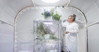 Mars'taki Yeni Eviniz Şu An İngiltere'de • Bigumigu