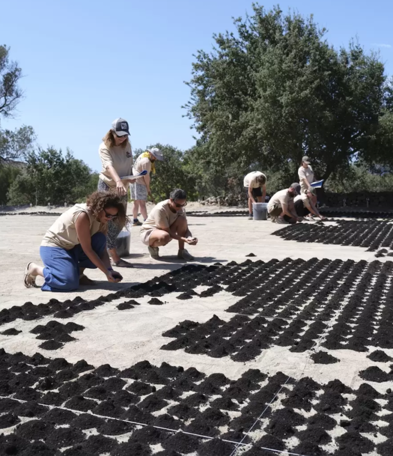 Âşık Veysel 25.000 Avuç Topraktan Yapılan Dev Portresiyle Anıldı • Bigumigu