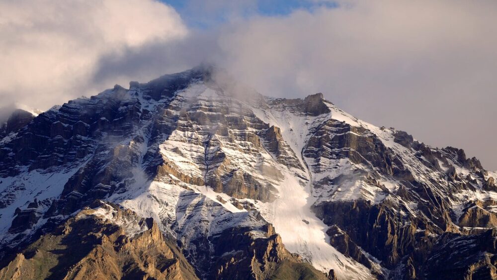 Gezegenin Sorunlarını Belgeleyen Ücretsiz Video Kütüphanesi: Open Planet • Bigumigu