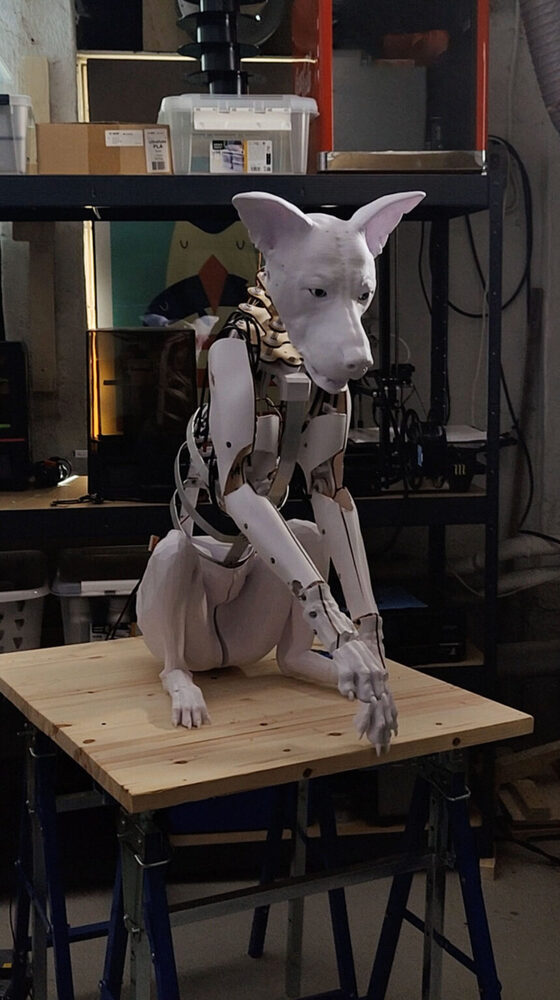 Sıcak Çarpması Semptomlarını Robot Köpekle Anlatan Kampanya • Bigumigu